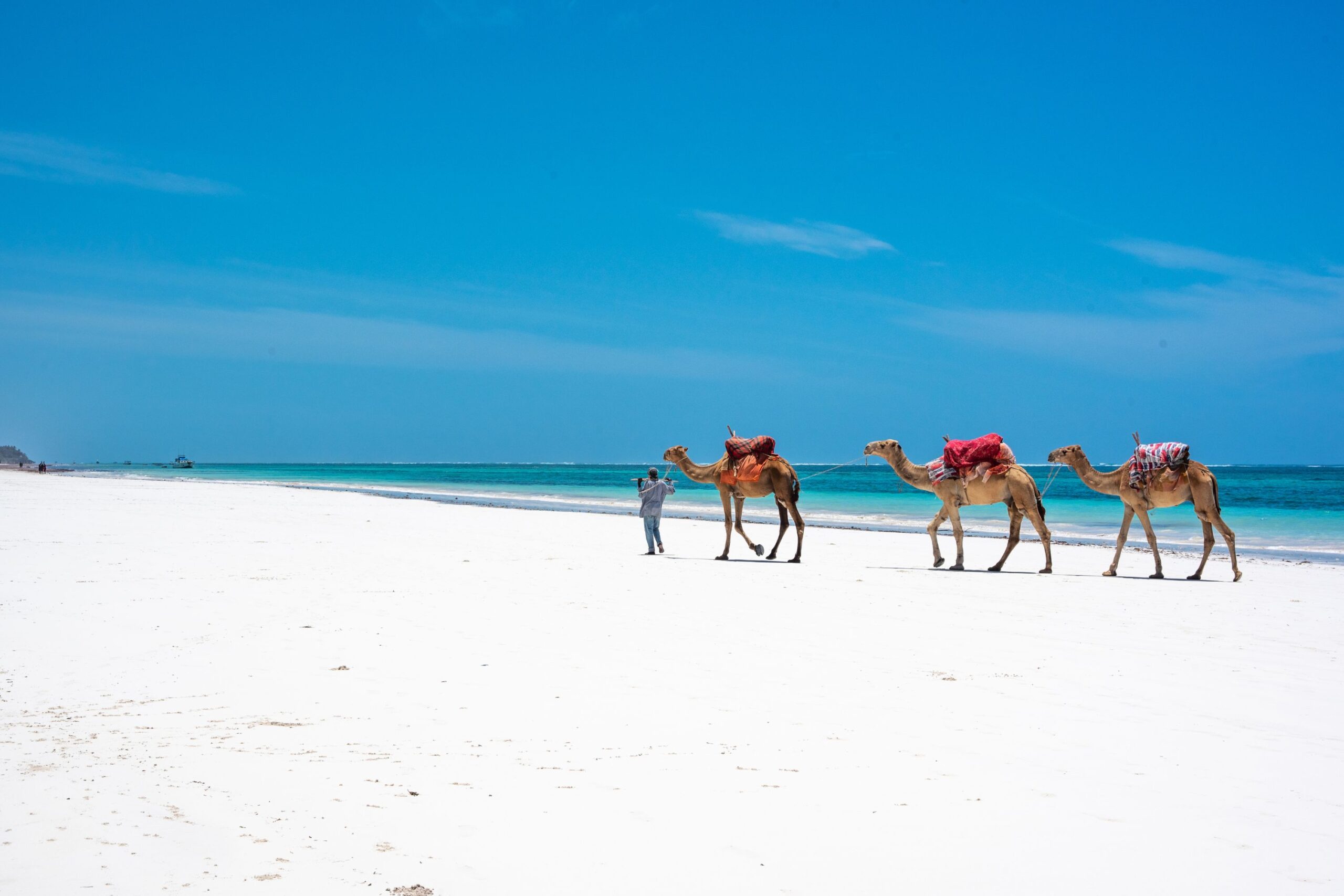 Visit Mombasa with Safari Africano