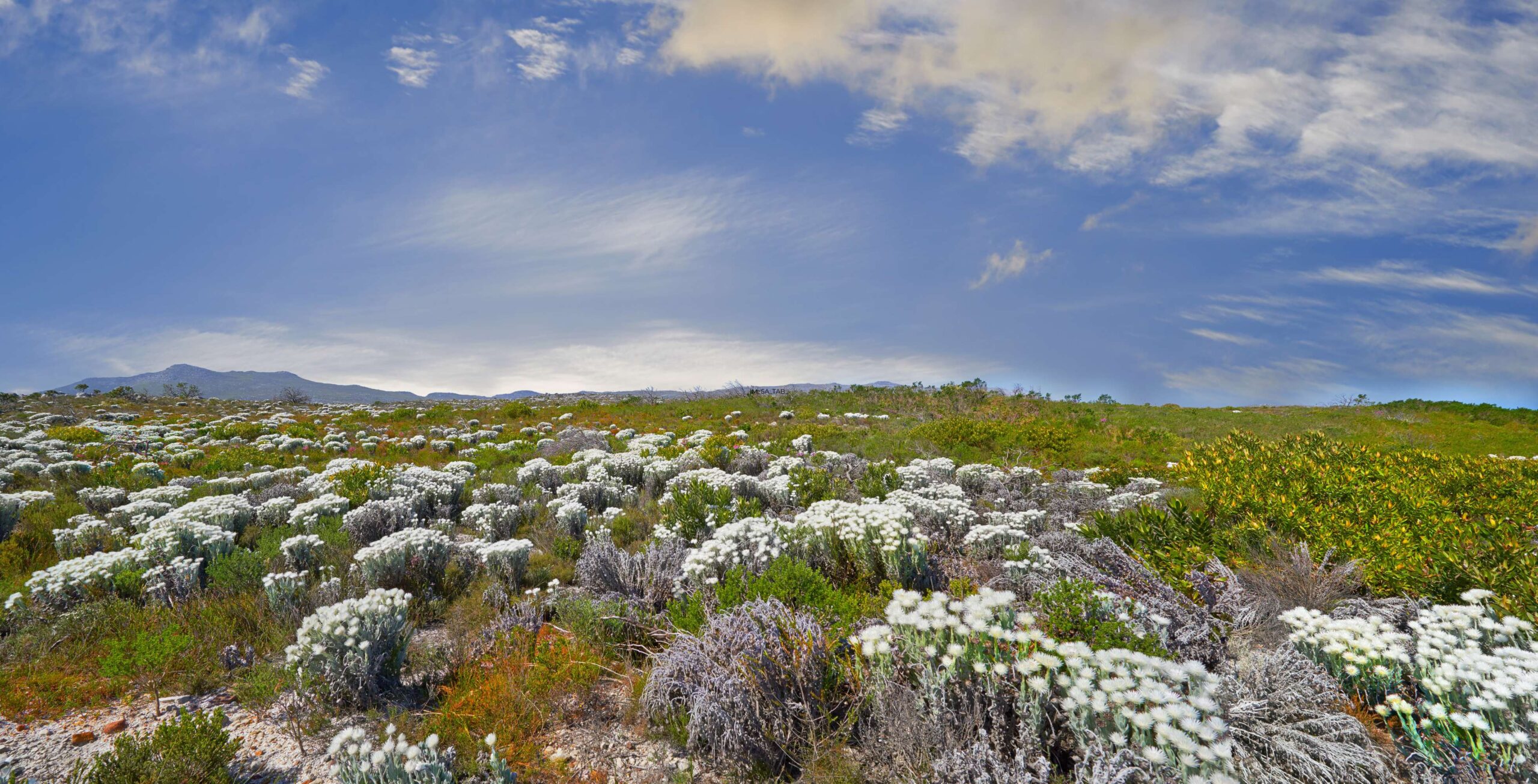 Parque Nacional Montaña de la Mesa – Safari Africano
