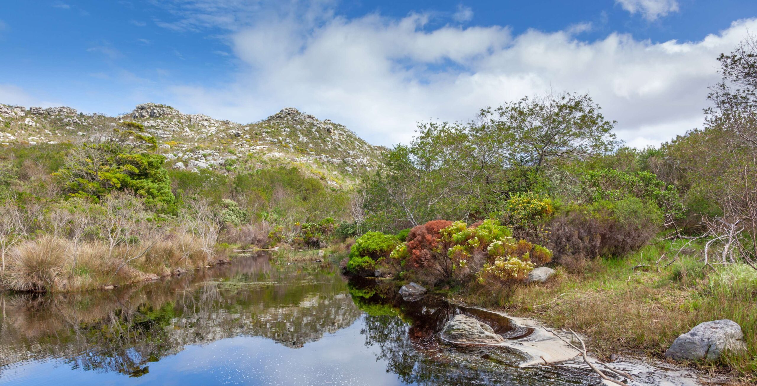 Parque Nacional Montaña de la Mesa – Safari Africano